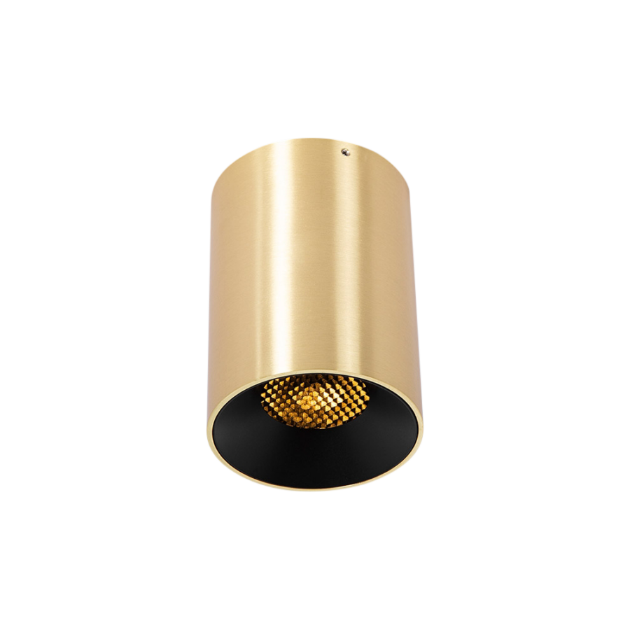 Cypher Mini Surface Mount Downlight